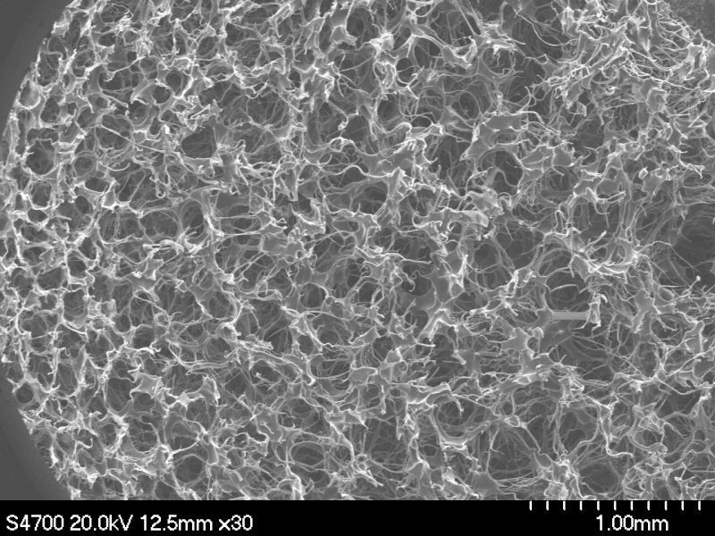 PP Foaming | Polypropylene Foam Extrusion | CHUANGBO